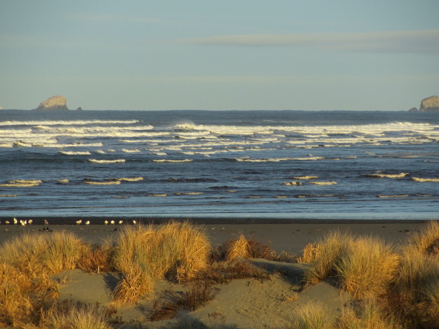 Two Rocks from Moclips, WA – Al Turtle's Relationship Wisdom